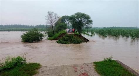 Flood In Up यमुना का जलस्तर बढ़ने से टूटा यमुना का अस्थायी बांध गांव