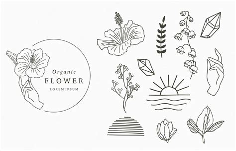 Коллекция оккультных икон красоты с Handgeometricflower Премиум векторы