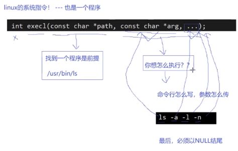 【linux】进程控制（进程创建、进程终止、进程等待、进程替换） Csdn博客
