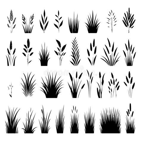 Silhouette Set Of Grass Vector Isolated Illustration Stock Vector