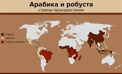 Расскажем о 100 арабика что это