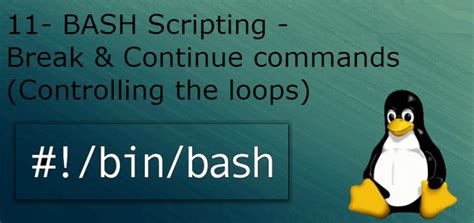 11 Bash Scripting Break Command And Continue Command Controlling The