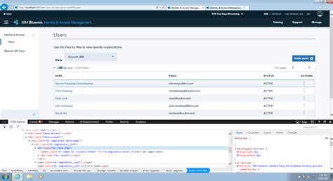 Pagination Component Not Displayed Correctly In Ie11 · Issue 210 · Carbon Design Systemcarbon