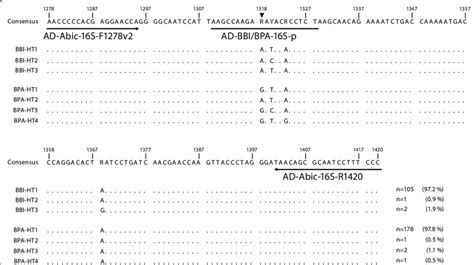 Partial Dna Nucleotide Sequences Of Seven Haplotypes In The Two