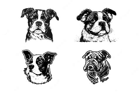 Набор собак с разными лицами векторной иллюстрации Премиум векторы