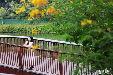 In视频 大沙河碧道：连接山海，穿行城市 深圳新闻网