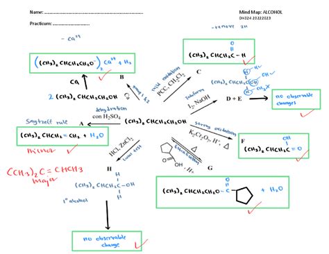 Mind Map Alcohol Dk024 Mind Map Organic Chemistry Matrix Dk024