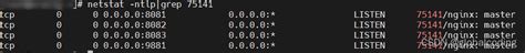 Linux 查端口 查进程 Netstat 全网最详细netstat 进程号 Csdn博客