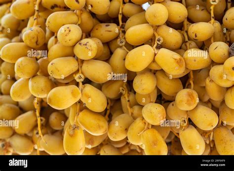 Cheap Dates Fruit At Emma Ake Blog