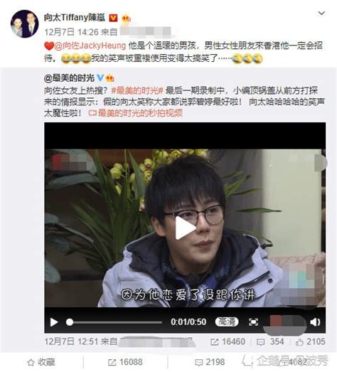 向佐回应恋情的视频向太官宣儿子向佐恋情 随意云