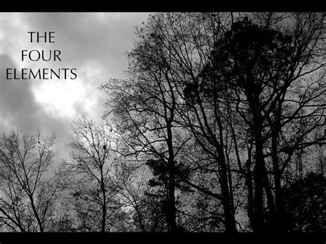 Pictures Of Caren Macnevin