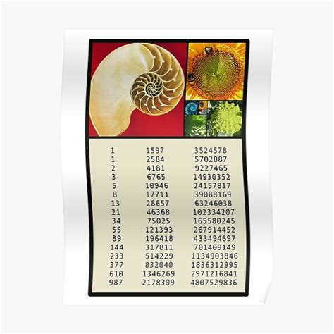 The Fibbonacci Sequence And The Golden Ratio Poster By Lovejoypeace