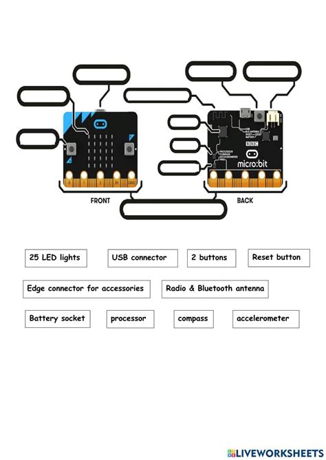 Microbit Labell Free Interactive Worksheets 2839486