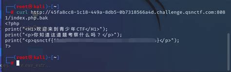 青少年ctf平台 Web签到 青少年ctf 博客园