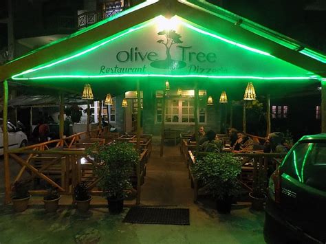 Kishor Guest House Lodge Reviews Manali India