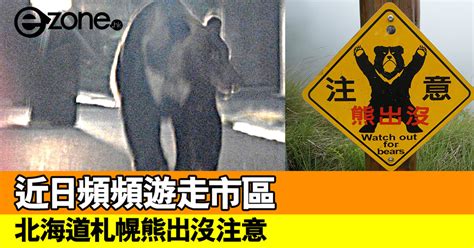 北海道札幌熊出沒注意！近日頻頻遊走巿區 Ezonehk 網絡生活 旅遊筍料 D190814