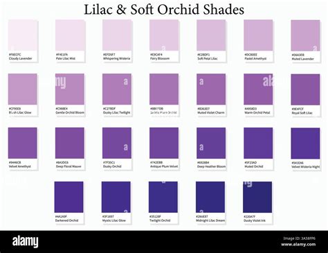 Color Swatches 26 Lilac And Soft Orchid Shades 3d Light Faded Purples