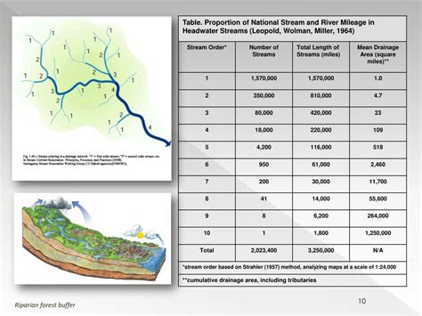 PPT Riparian Forest Buffer PowerPoint Presentation Free Download ID