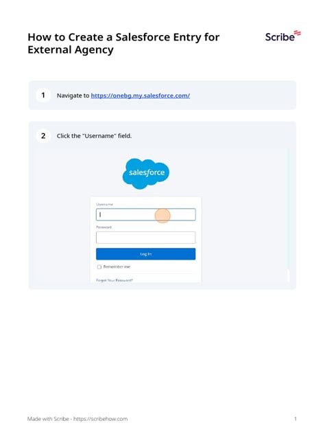 How To Create A Salesforce Entry For External Agency Salesforce Pdf