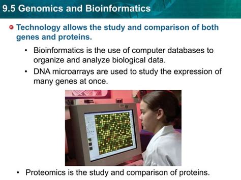 Genomics And Bioinformatics Basics From Genome To Phenome Ppt