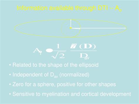 PPT DTI Basics Water Diffusion In MRI Imaging PowerPoint Presentation ID