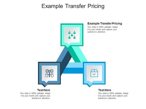 Example Transfer Pricing Ppt Powerpoint Presentation Visual Aids Infographics Cpb Presentation
