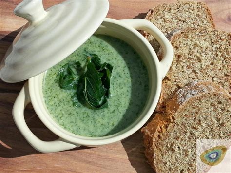 Ground Elder Soup A Springtime Seasonal Foraged Favourite