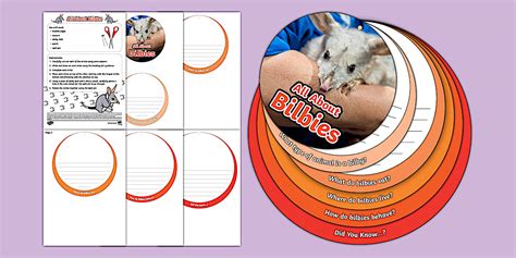 All About Bilbies Circles Booklet Teacher Made Twinkl