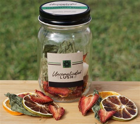 Strawberry Basil Craft Cocktail Kit Tequila Infusion Vodka Infusion