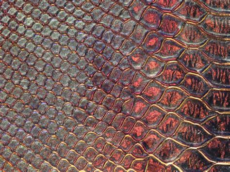 Do Reptiles Have Scales Reptile School