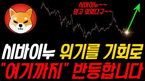 시바이누 위기를 기회로 시바이누 코인 여기까지 반등합니다 Youtube