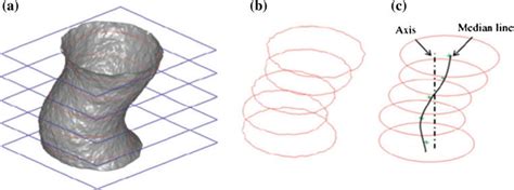 Circle And Line Fitting Method A Transverse Sectioning Of The Download Scientific Diagram