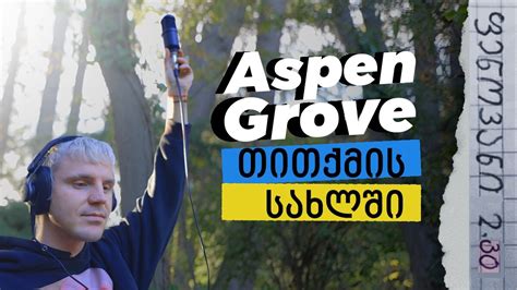 თითქმის სახლში