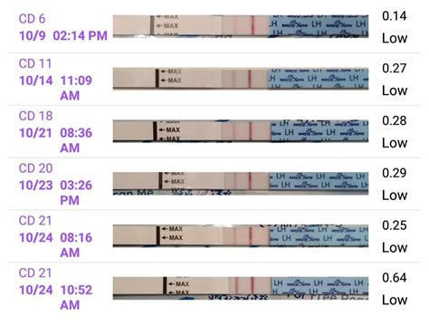 No Lh Peak But Bbt Says Ovulation R Tryingtoconceive