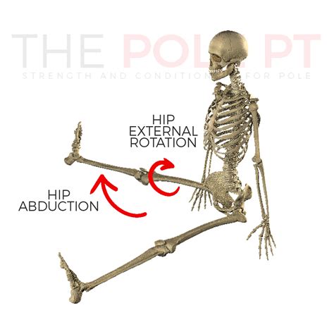 Is Your Hip Mobility Holding Back Your Ballerina The Pole Pt
