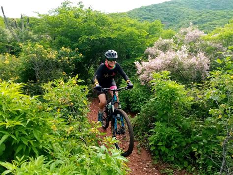 Pico Pala Tours