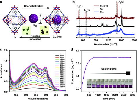 The Inclusion And Release Of C 60 Molecules In 1a A A Schematic