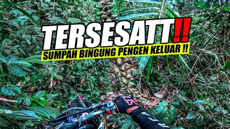 NIAT KELUAR HUTAN MALAH TERSESAT SEMAKIN KEDALAM HUTAN YouTube