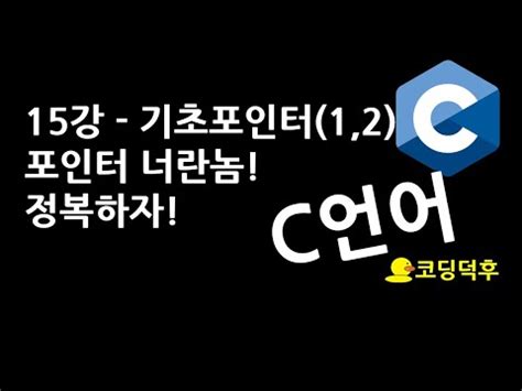 C언어 기초강의 강 포인터를 정복하자 기초포인터 코딩덕후 YouTube
