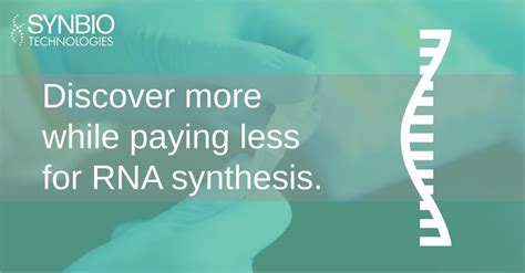 Synbio Technologies On Linkedin With Decades Of Experience In Rna