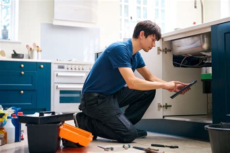How to Maintain Your Garbage Disposal: Tips & Care