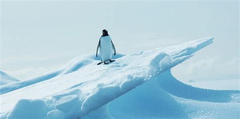 Compelling Reasons To Choose Apache Iceberg