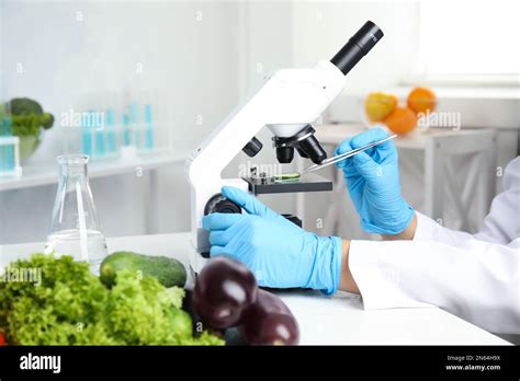 Scientist Inspecting Slice Of Cucumber With Microscope In Laboratory