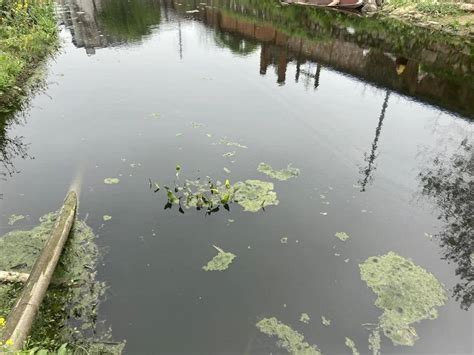 投资超15亿，衡阳市雁栖湖片区治理何时见效？建设