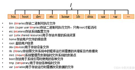 Linux文件目录管理(详解和命令演示)linux系统文件目录结构 Csdn博客 Linux文件目录管理(详解和命令演示)linux系统文件目录结构 Csdn博客