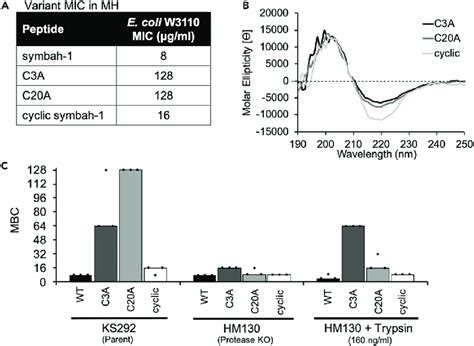 Macrocyclic Structure Is Critical For Activity Due To Reduced Protease