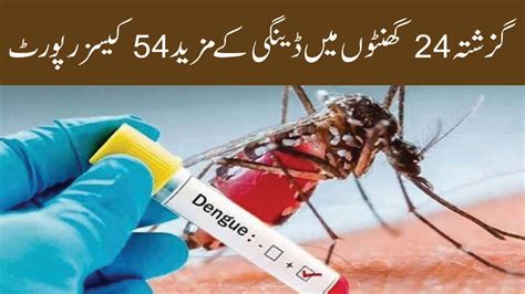 گزشتہ 24 گھنٹوں میں ڈینگی کے مزید 54 کیسز رپورٹ Youtube