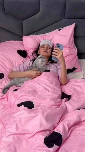 Pin By Jamerald124 On Pins By You Cat Room Funny Cats Cat Memes