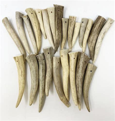 24 Drilled Hole Deer Antler Points Pendantstips Etsy Antler