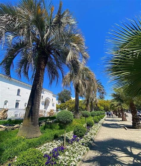 ოკუპირებული სილამაზე გაზაფხული აფხაზეთში და საოცარი ფოტოები რომელიც ადგილობრივების მიერ